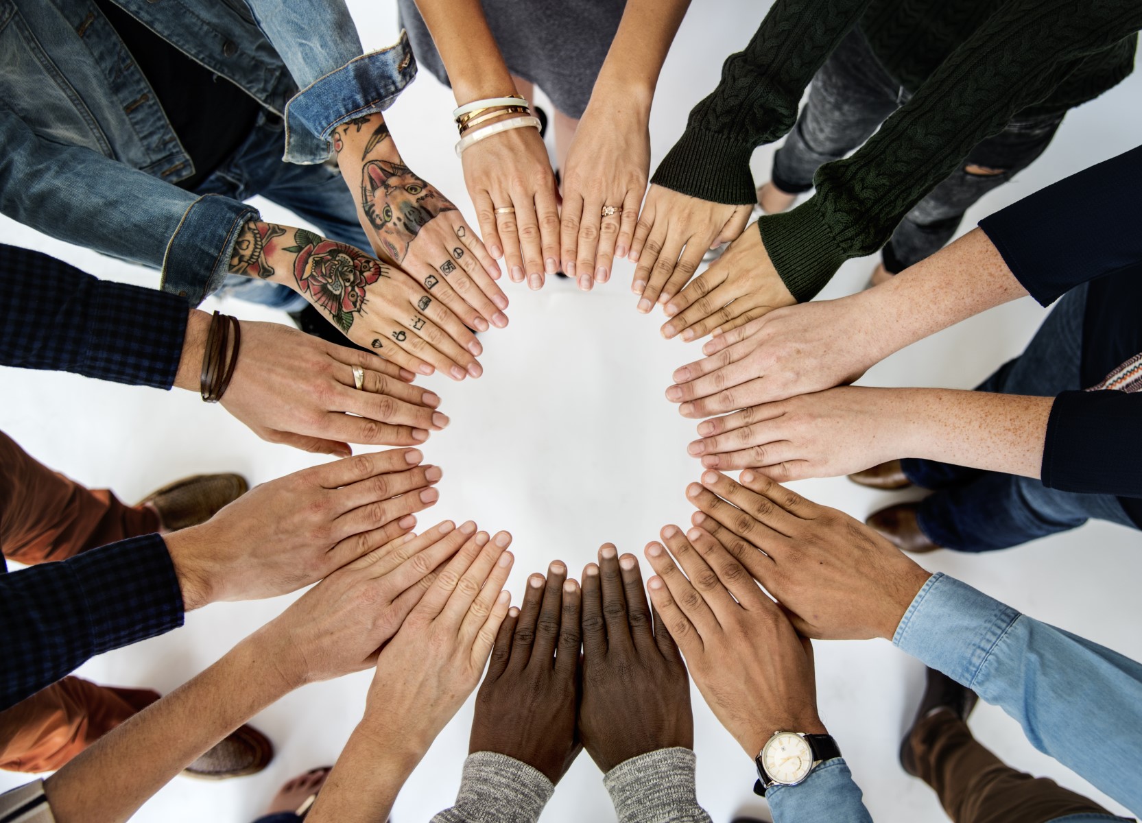 Life Languages Communicatie Profiel - Zipon